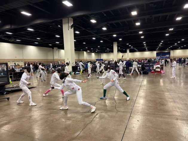 Nurturing Growth: The Right Mix of Expectations in Fencings - Academy ...